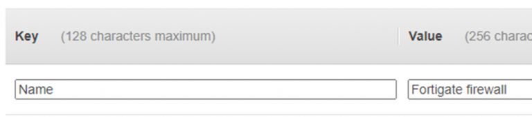 How to Deploy FortiGate Firewall on AWS EC2? – GetLabsDone