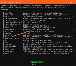 How to Install Ubuntu Server 20.04 on VMware ESXi? – GetLabsDone