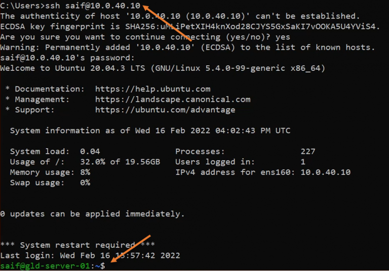 How to Install Ubuntu Server 20.04 on VMware ESXi? – GetLabsDone