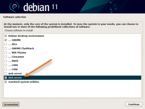 How to Dual Boot Debian 11 and Windows 11? – GetLabsDone