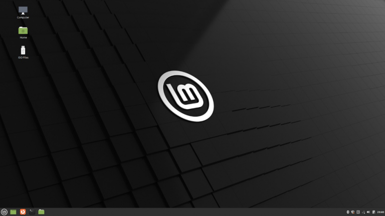 How to Dual Boot Linux Mint and Windows 11? – GetLabsDone