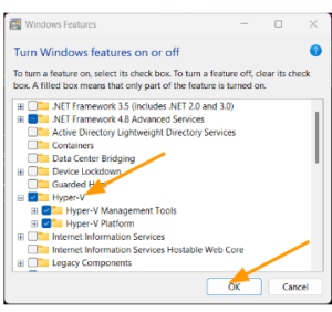 FIX – Virtualized Intel VT-x/EPT is Not Supported on this Platform ...