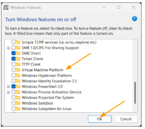 FIX – Virtualized Intel VT-x/EPT is Not Supported on this Platform ...